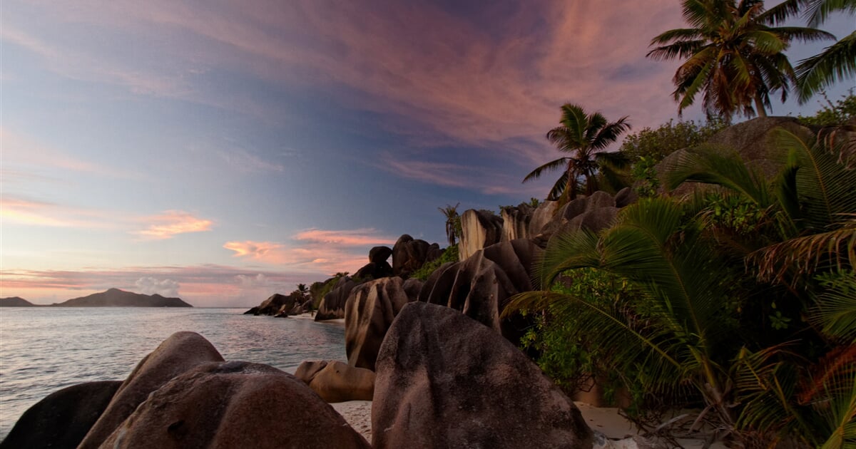 Coco de Mer - Cestování.cz