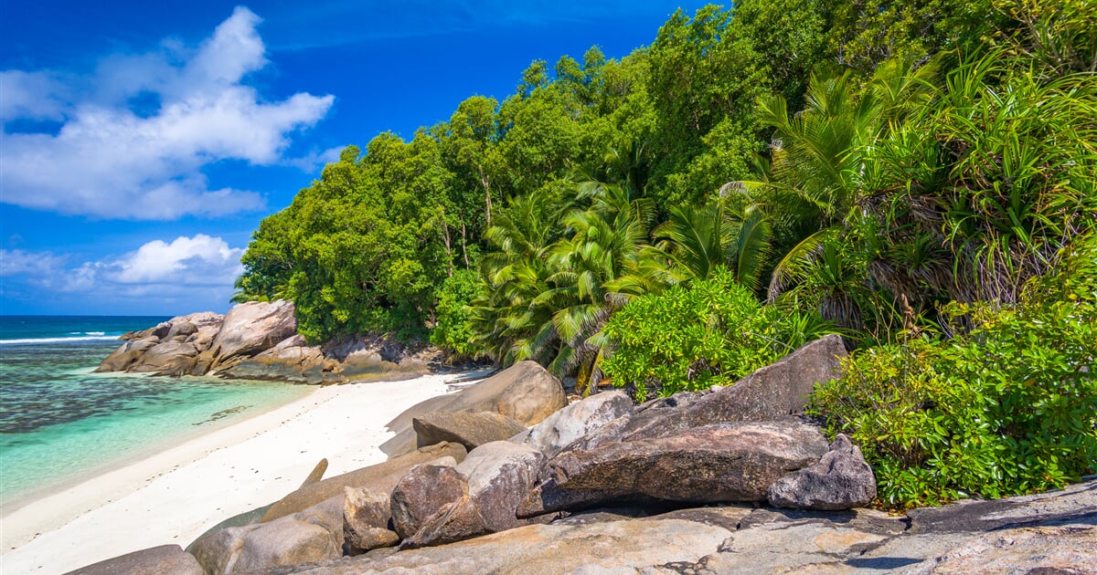 Pohoda v exotice - 2024/25 - CK Poznání