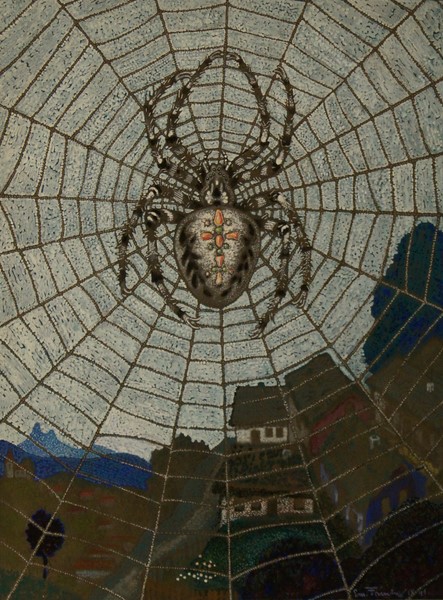 Pavouk křižák - Galerie VM