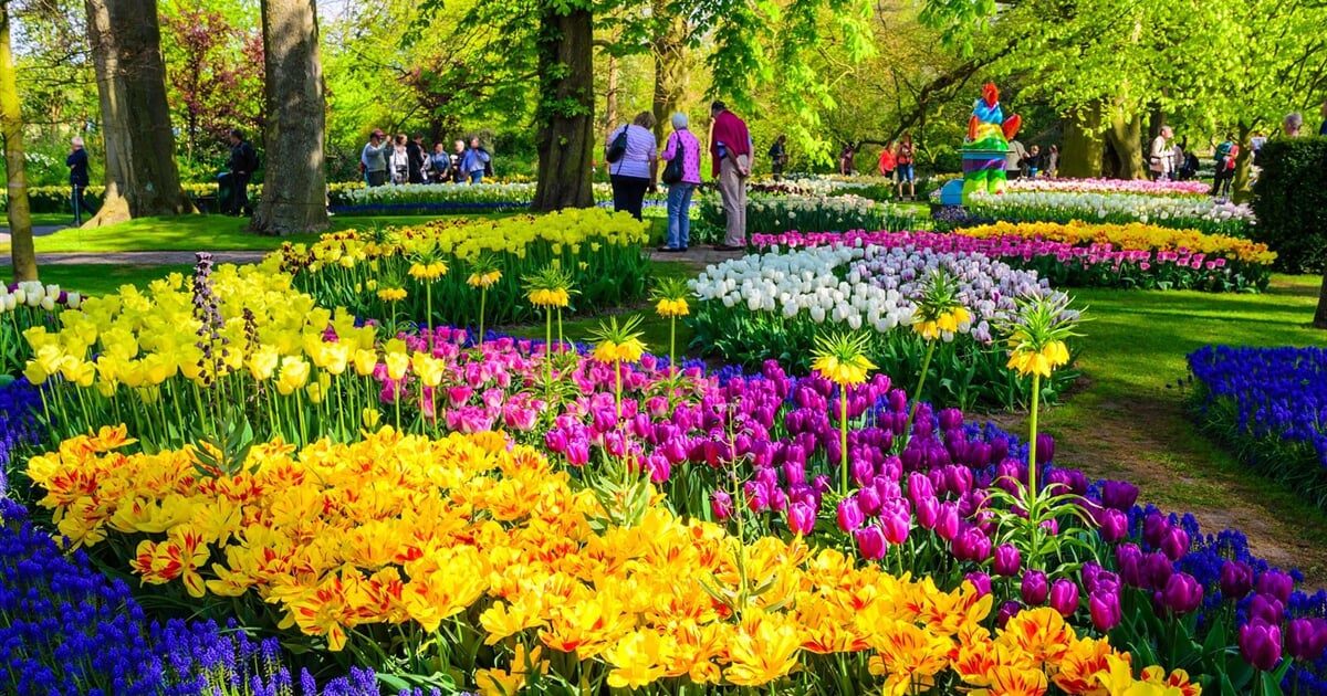 Holandsko na skok - Keukenhof, Květinové korzo 2025 - Poznávací zájezdy